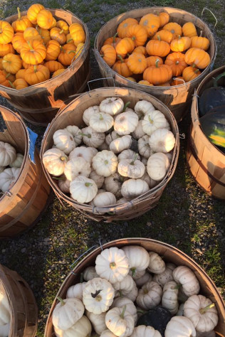Fall Flowers and Vegetables | Hancock, ME | Simons Hancock Farms ...
